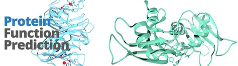 Home Bio Function Prediction