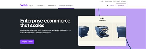 Best ECommerce Platform For Dropshipping Full Review