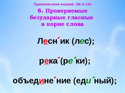 «Проверяемые безударные гласные в корне слова