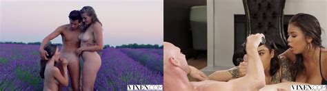 Vixen Teamwork Compilation Intporn Forums