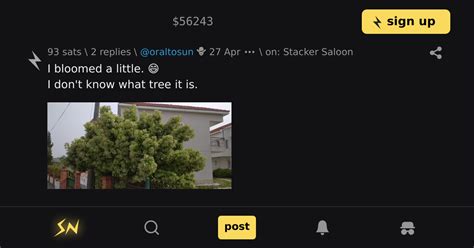 Reply On Stacker Saloon Stacker News