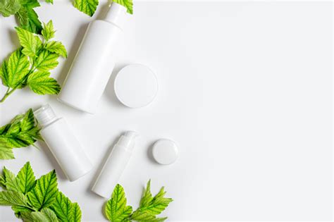 흰색 튜브와 라벨을 붙일 빈 공간이있는 녹색 잎이있는 화장품 세트 얼굴과 바디 스킨 케어를 위한 천연 화장품 보습 크림 정화 마스크 공란에 대한 스톡 사진 및 기타 이미지