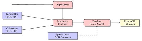 A Summary Of Our Methodology For Agb Estimation Blue Indicates An