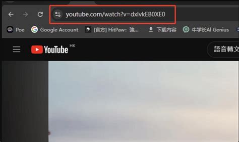 Whisper Ai Openai下載安裝，語音轉文字，自動生成逐字稿教學