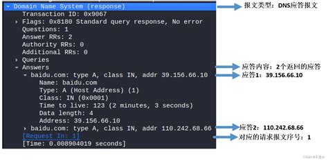 【网络技术】【kali linux】wireshark嗅探（四）域名系统（dns） 使用wireshark 分析 对dns协议进行分析 csdn博客
