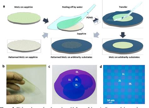 Figure 2 From Wafer Scale Growth And Transfer Of Highly Oriented
