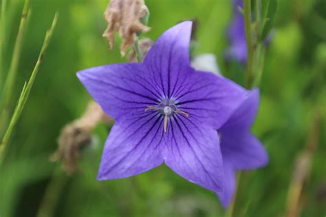 Matthew Sam Photography Added A Matthew Sam Photography