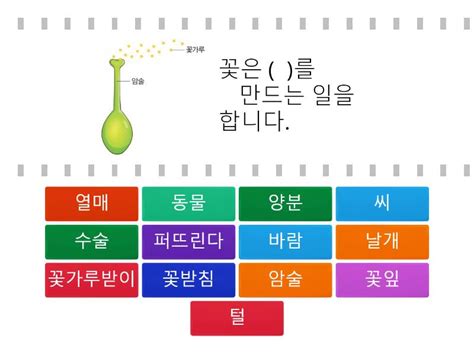 4 식물의 구조와 기능 꽃과 열매 Find The Match