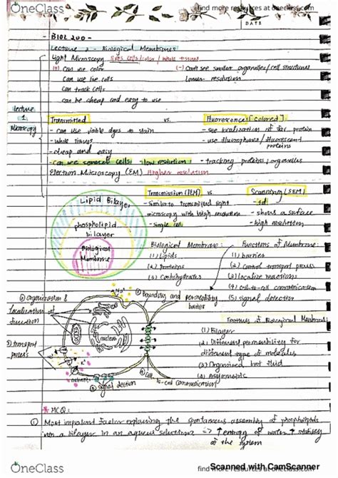 Biol 200 Lecture 1 Biological Membranes Microscopy Oneclass