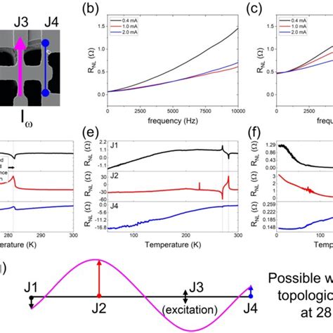 A A Representative Scanning Electron Micrograph Showing The Download Scientific Diagram