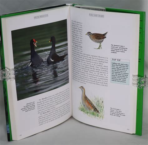 Understanding Bird Behaviour Frost Books And Artifacts Limited