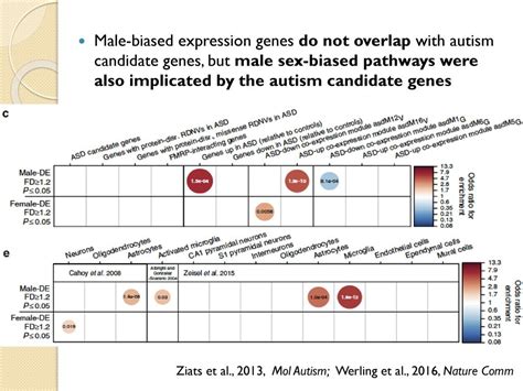 Autism Sex And Gender In Development Ppt Download