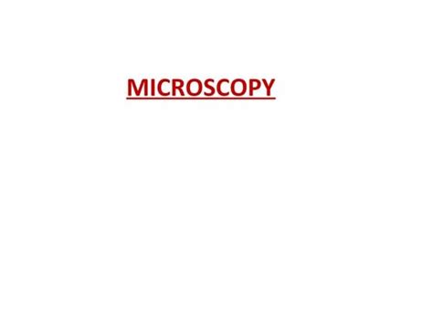 Simple And Compound Microscope Ppt Ppt