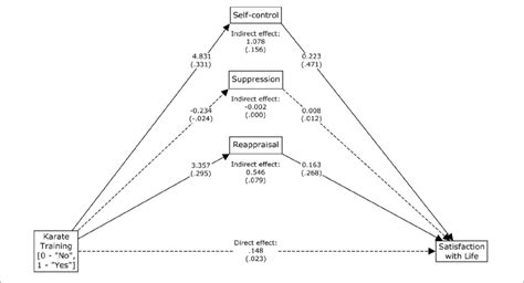 diagram presenting raw and standardized in brackets parameter
