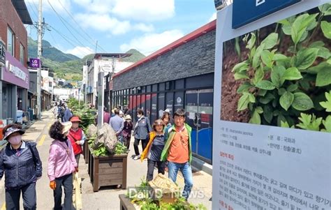 제18회 영양산나물축제 현장