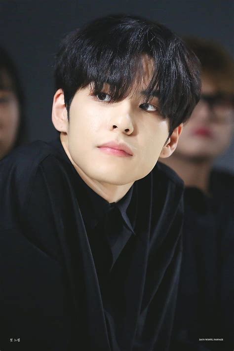 더쿠 요줌 남자아이돌 중 꾸준히 수요상이라는 공룡 강아지상 