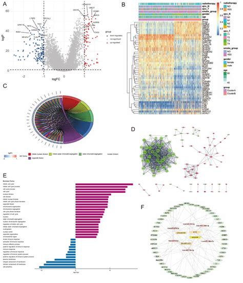 Identification And Validation Of The Mitochondrial Function Related Hub Genes By Unsupervised
