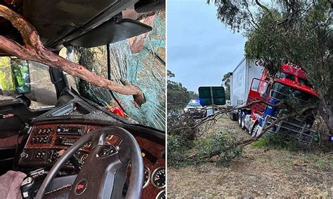 South Australian Truck Driver Lucky To Be Alive After Tree Branch Smashes Through His Front