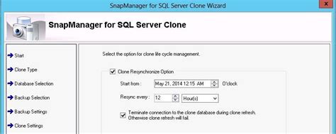 Best Practices Guide For Microsoft Sql Server And Snapmanager 71 For