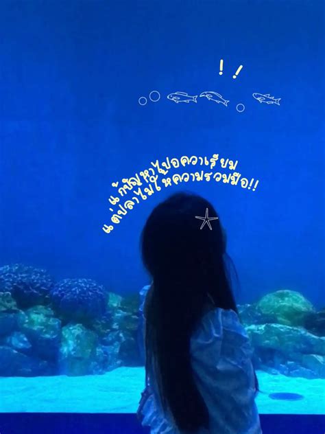 รูปโล่งไม่รู้จะใส่อะไรดี แอปนี้ช่วยได้ แกลเลอรีที่โพสต์โดย Chaminttea Lemon8