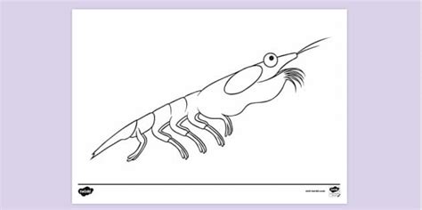 Plankton Colouring Sheet Printable
