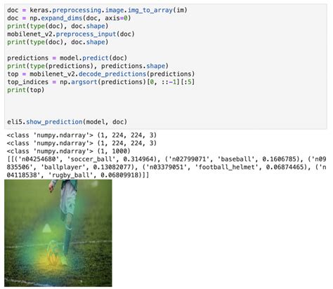 A Peek Into The Black Box Debugging Deep Neural Networks For Better