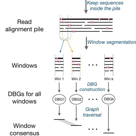 the schematic diagram for the sequencing error correction procedure of