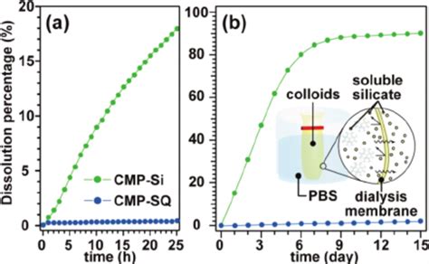 Dissolution Behavior Of CMP Si And CMP SQ In A PBS Solution For A Download Scientific