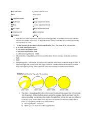 Microscope Virtual Lab Part One Brittany Smith Docx K On Off Switch C Eyepiece Ocular Lens J