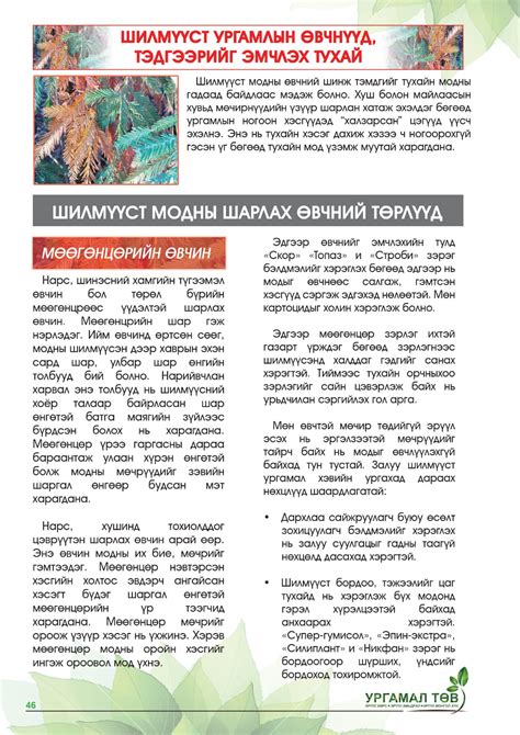 ⛔️Шилмүүст модны шарлах нь өвчин байж Экстра Ургамал Төв Facebook