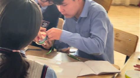 “Сайн хичээл” ур чадварын уралдаан Дундговь аймаг Хүмүүнлэг сургууль математикийн багш Ө