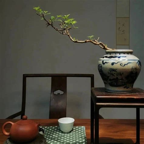 岁月清浅悠然缓行 生活
