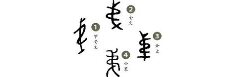 汉字“弟”的起源、演变过程 汉字字源辞典