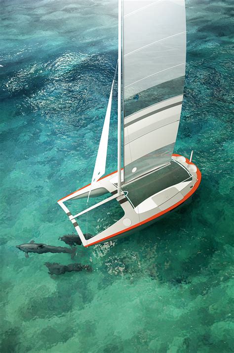 Small Catamaran Sailboat