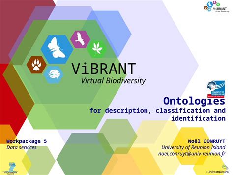 Ppt Ontologies For Description Classification And Identification Processes Dokumen Tips