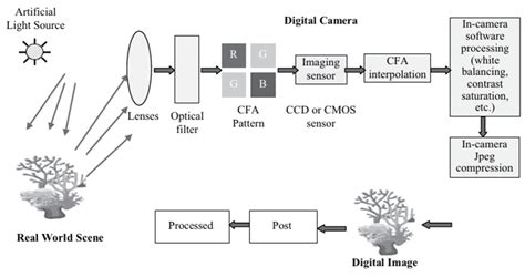 An Overview Of Digital Image Forensics Image Morphing And Forgery