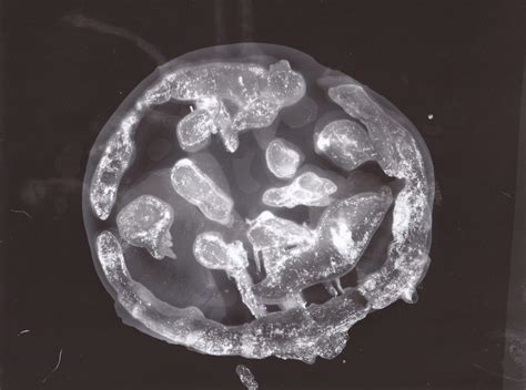 Camera Calibration Using Opencv This Article Provides A Step By Step… By Mihir Gandhi