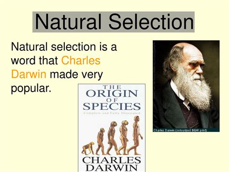 PPT NOTES WILL COVER Evolution Mutations Natural Selection Genetic