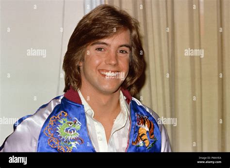 Shaun Cassidy Feathered Hair At Donald Blanton Blog