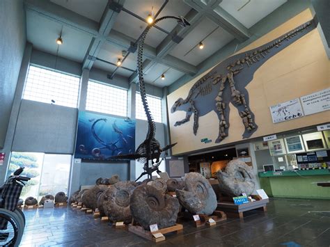 むかわ町穂別博物館 北海道デジタルミュージアム