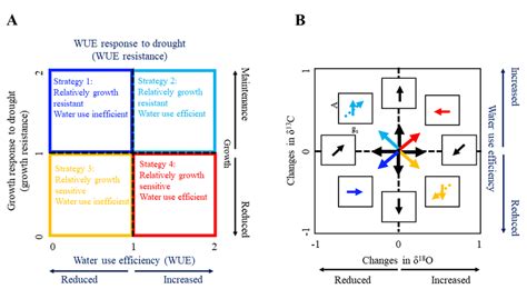Tree Ring Isotope Based Conceptual Models Used In This Study A Download Scientific Diagram