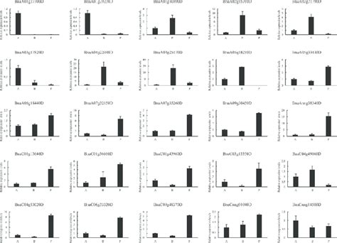 Qrt Pcr Validation Of The Expression Patterns Of 25 Randomly Selected