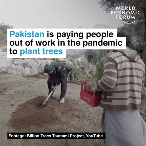 Muhammad Zain Ul Abideen Mustafa Posted On Linkedin