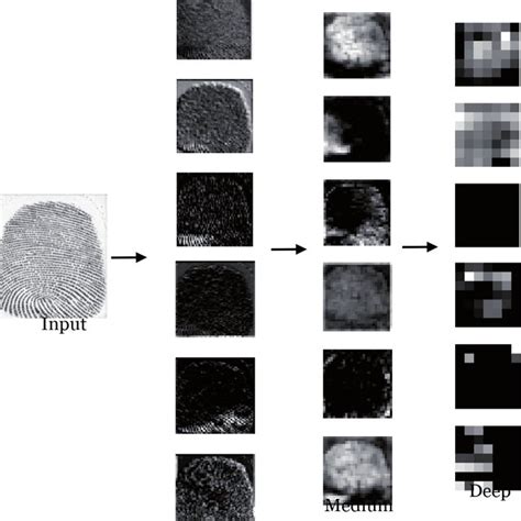 Pdf Transfer Learning Of Pre Trained Cnn Models For Fingerprint Liveness Detection