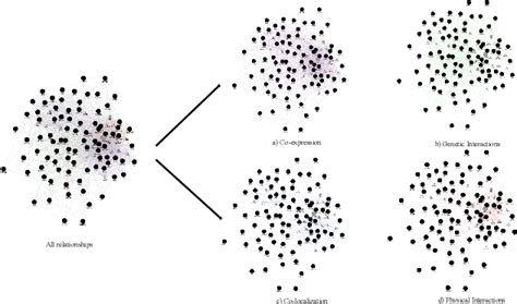 Figure 1 From Feature Selection For Microarray Data Via Community Detection Fusing Multiple Gene