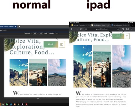Css Problem With Behavior Of Div Flex On Ipad Stack Overflow