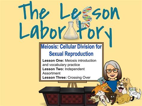 3 Digital Meiosis Lessons Intro Independent Assortment And Crossing Over Classful