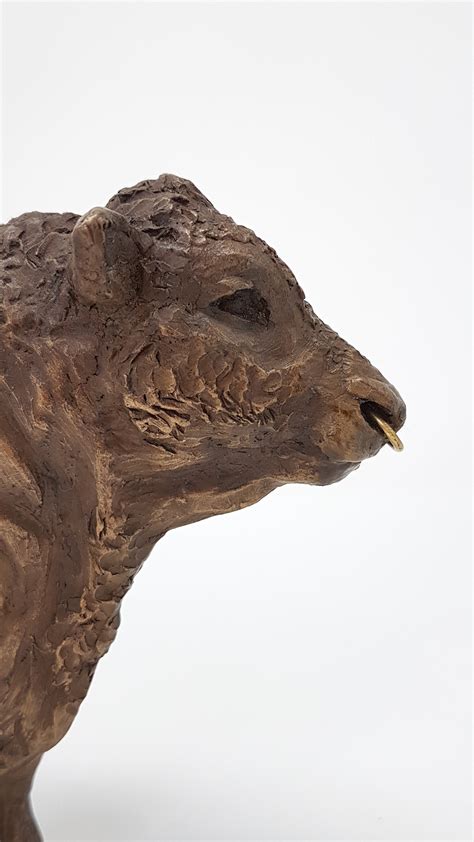 Red Ruby Devon Bull Annfineart