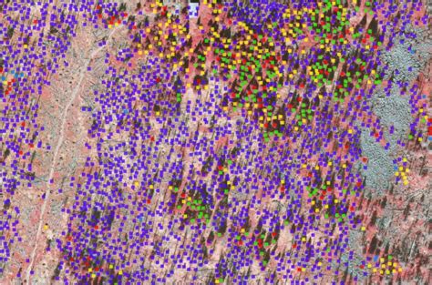 large scale 3d mapping of forests