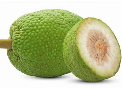 Ternyata Buah Sukun Punya Manfaat Bagi Kesehatan Tubuh Kita Mau Tahu